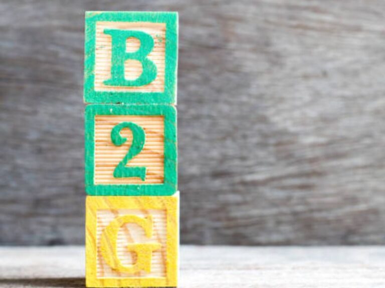 Lead-Driving B2G Marketing Strategies - VentCube